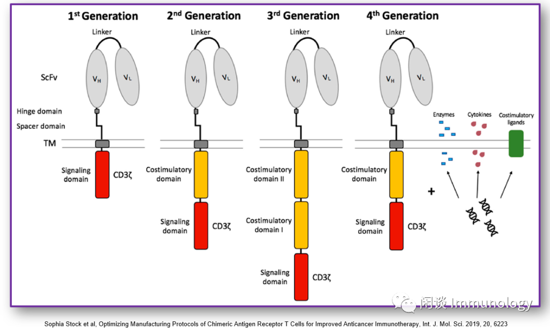 CAR-T生产工艺流程及优化考量__凤凰网