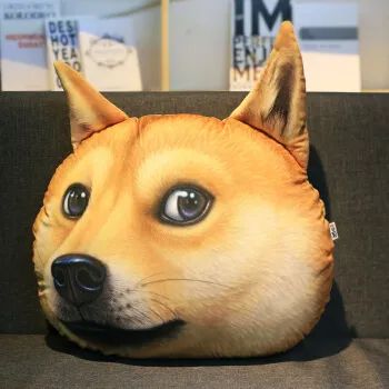 14岁的Doge现身辟谣：让我康康是谁说我死了？__凤凰网