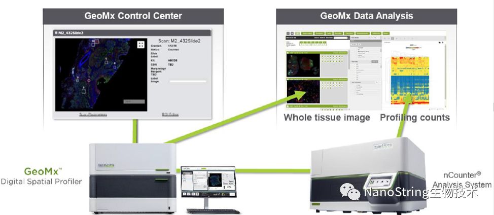 GeoMx Digital SpatialProfiler 新一代空间组学解密工具暨中文线上论坛邀请__凤凰网