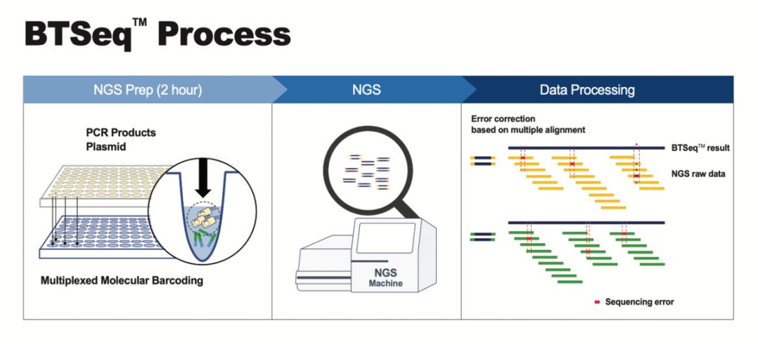 颠覆性测序技术BTSeq™助力分析新型冠状病毒全基因组序列__凤凰网