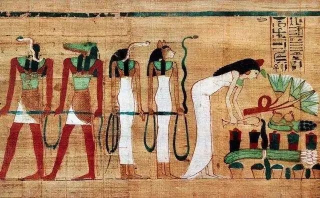 喵说 （埃及篇）：一日撸猫，终生上瘾！埃及人中了撸猫的毒 。__凤凰网