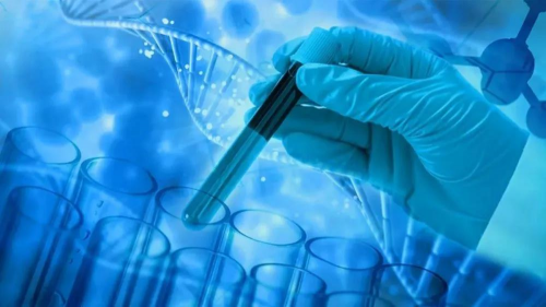 GENAD是什么?它与NAD+是什么关系?_凤凰网