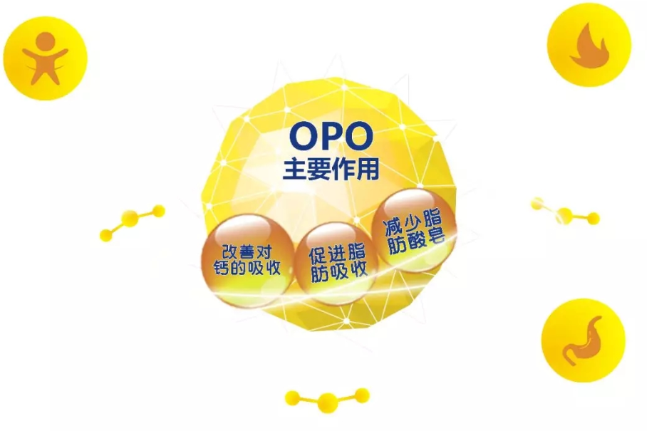OPO结构脂居然有这么多好处，看完这些立马明白__凤凰网