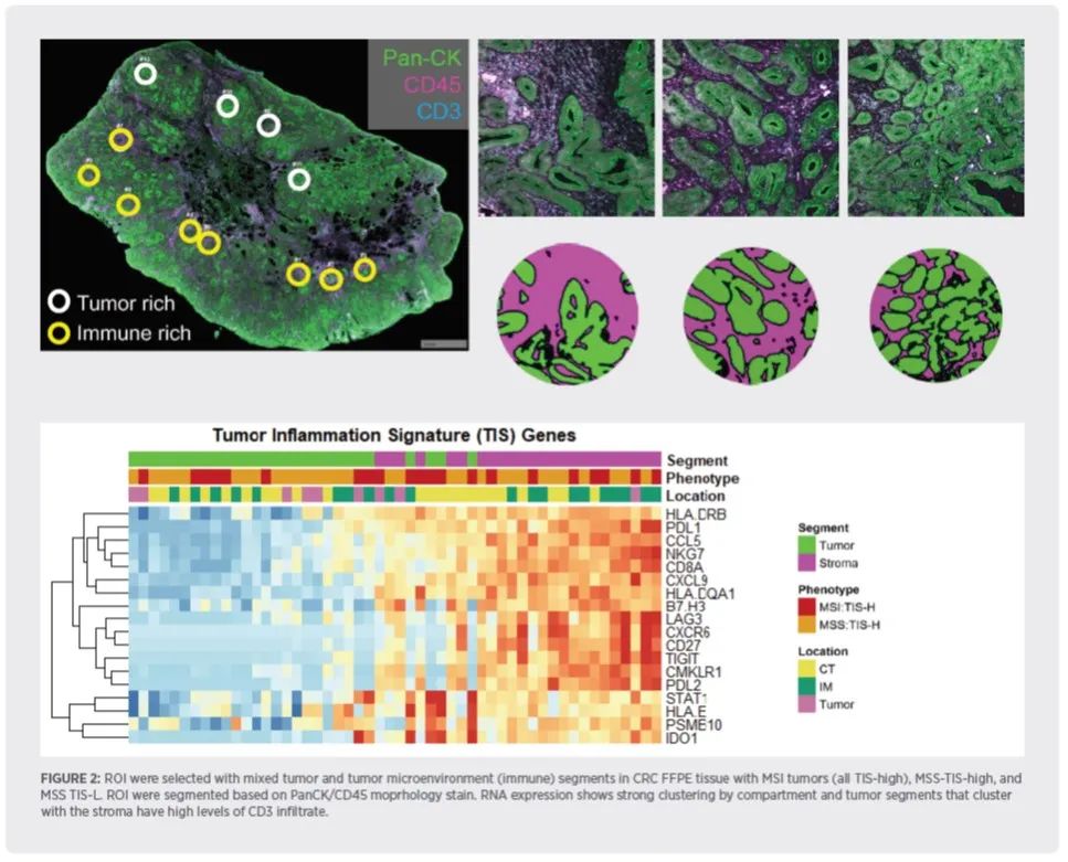 GeoMx Digital SpatialProfiler 新一代空间组学解密工具暨中文线上论坛邀请__凤凰网