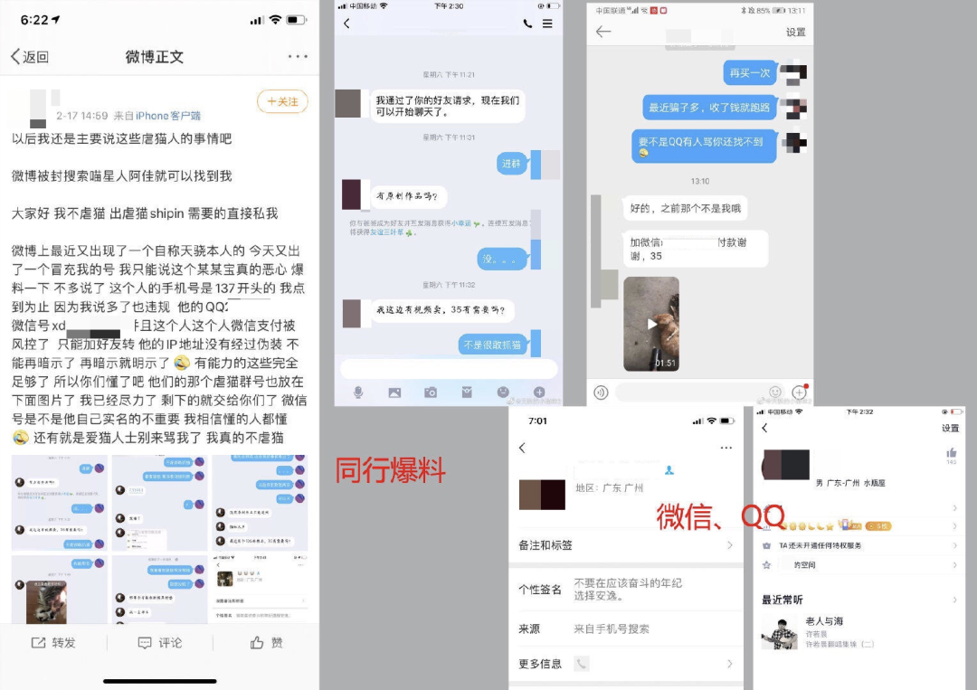 有多少人在靠虐杀宠物赚钱凤凰网