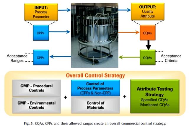 QbD原理在单克隆抗体开发中的应用__凤凰网