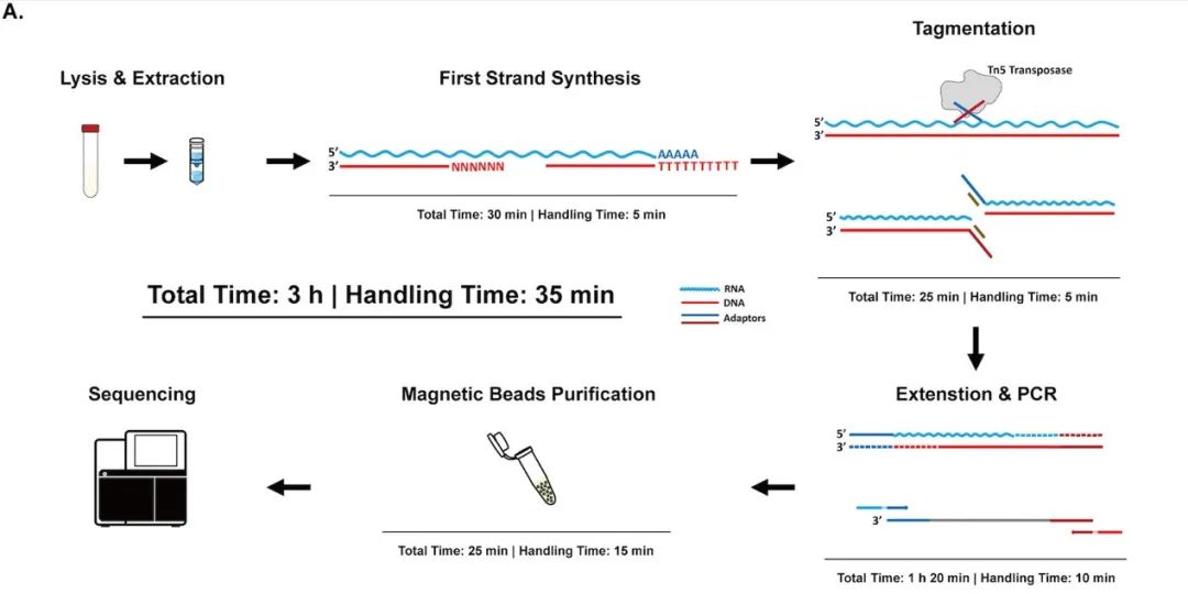 国内首篇RNA病毒mNGS检测方法实验室性能确认成果，检测SARS-CoV-2临床样本准确度91.4％__凤凰网