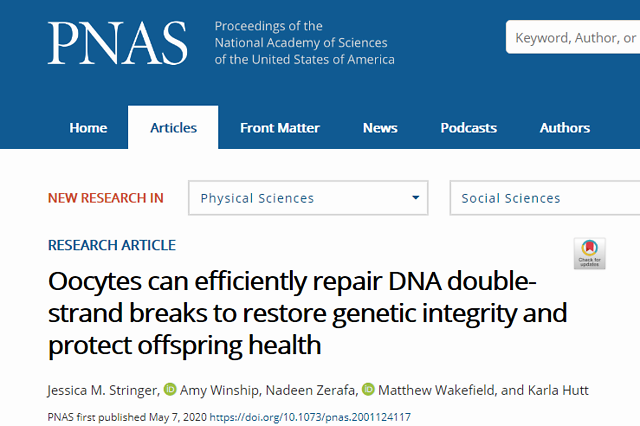 PNAS | 卵母细胞可有效修复严重DNA损伤，恢复遗传完整性，保护后代健康__凤凰网