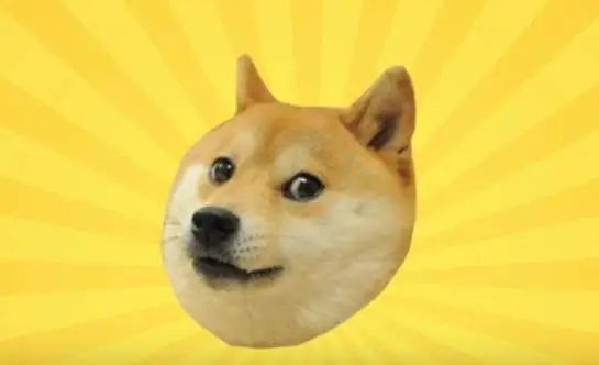 14岁的Doge现身辟谣：让我康康是谁说我死了？__凤凰网