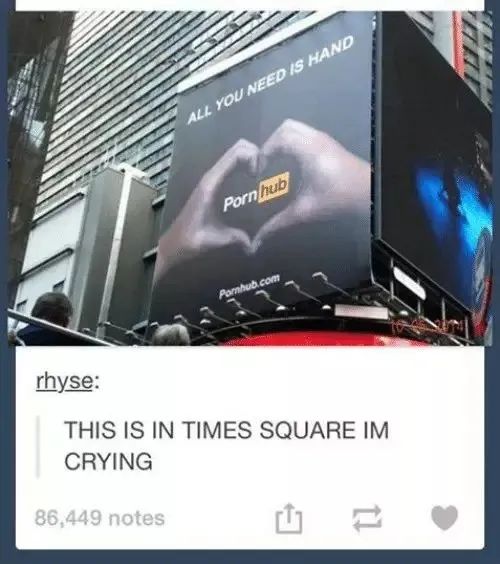 它是全球最大的色情网站，暗地里却是学习的圣地__凤凰网