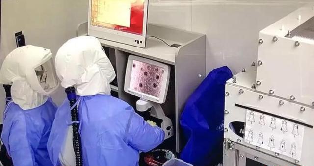 上海科学家成功分离新冠病毒毒株__凤凰网