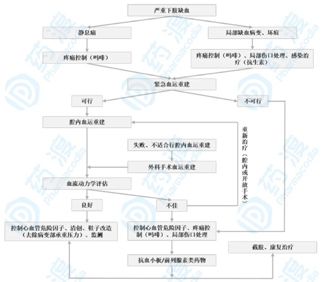 国内尚无可治愈药物，严重下肢缺血药物市场潜力巨大__凤凰网