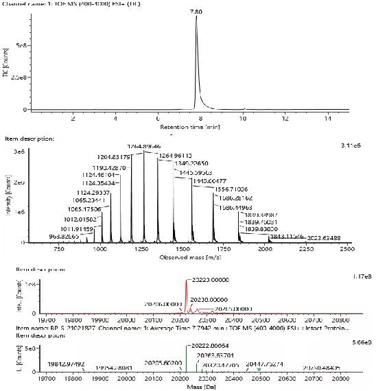技术升级丨高分辨质谱助力大分子蛋白药物结构确证研究__凤凰网