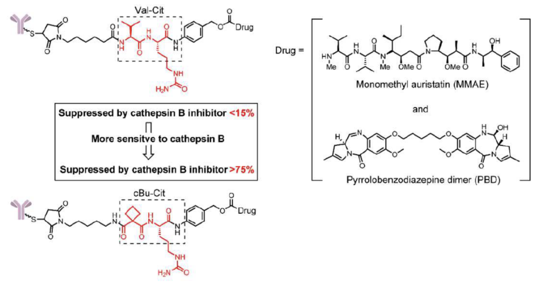 不简单的ADC连接子（上篇）__凤凰网
