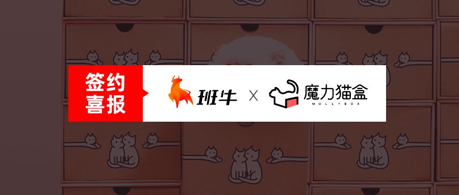 新锐品牌「MollyBox魔力猫盒」选择班牛，开启宠物产品零售新模式！_凤凰网
