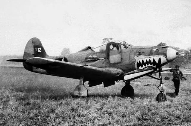 仙人掌丛中的眼镜蛇：P-400战斗机在瓜岛_凤凰网