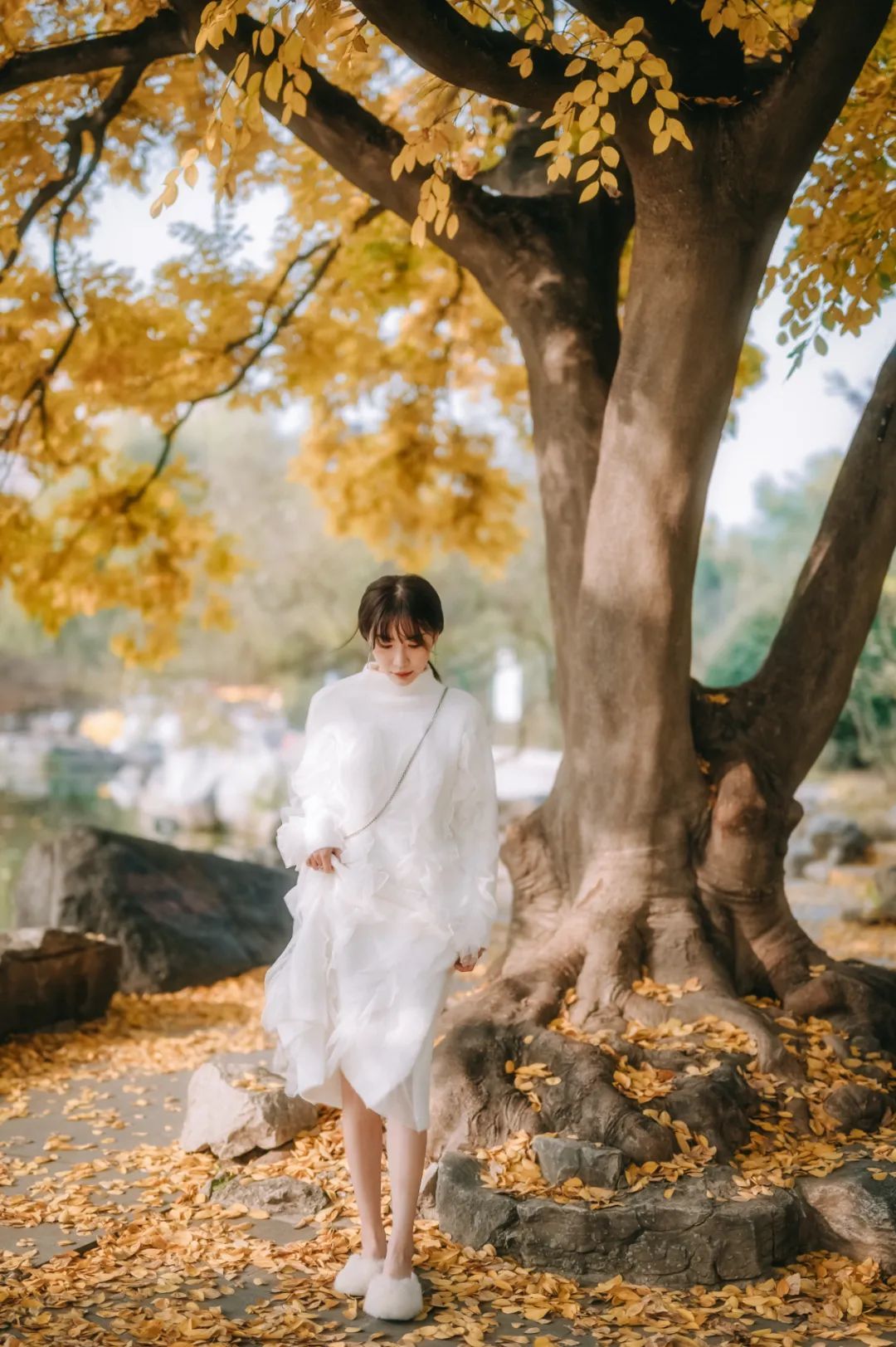 一个回眸，秋天就变成了风景（用尼康Z6II+Z50 1.2S拍摄一组深秋人像）__凤凰网