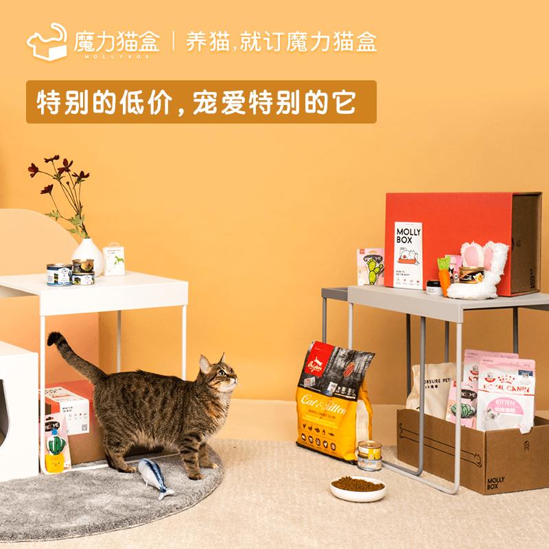新锐品牌「MollyBox魔力猫盒」选择班牛，开启宠物产品零售新模式！_凤凰网