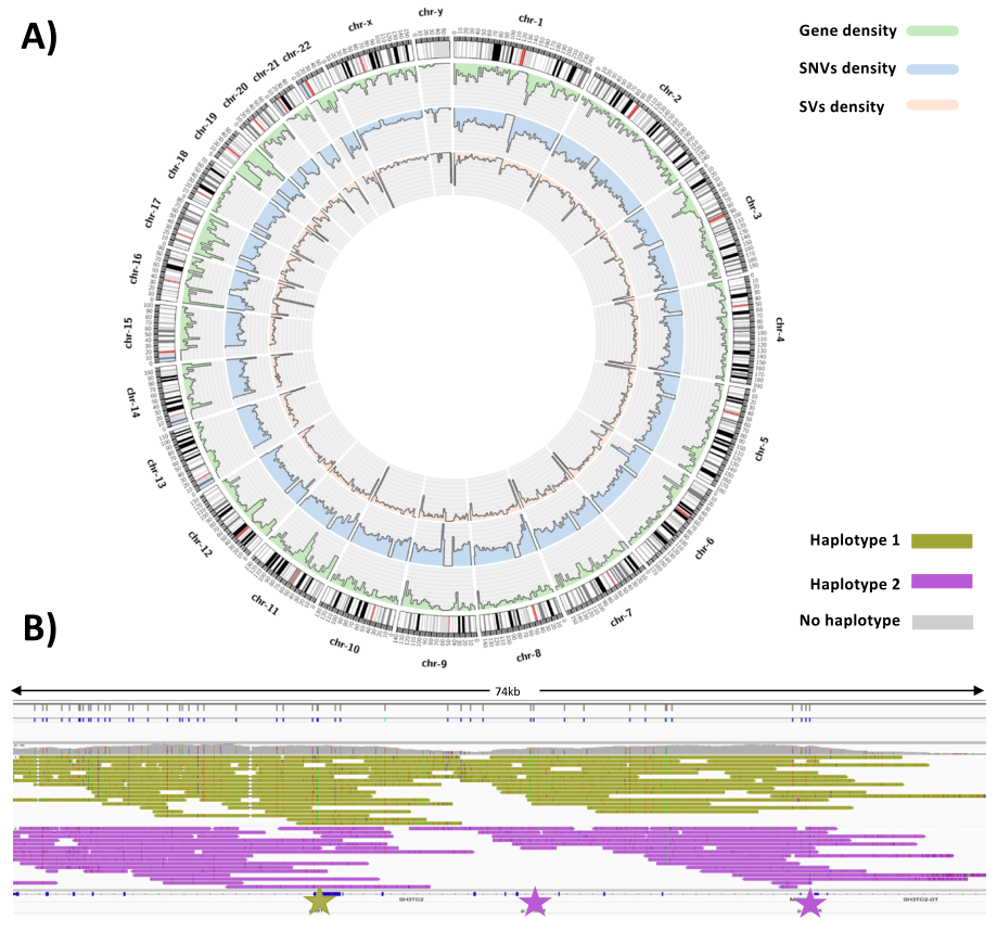 Genome Biology|精准解析SNV、SV和甲基化的综合性分析方法PRINCESS，填补基因组学研究空白__凤凰网
