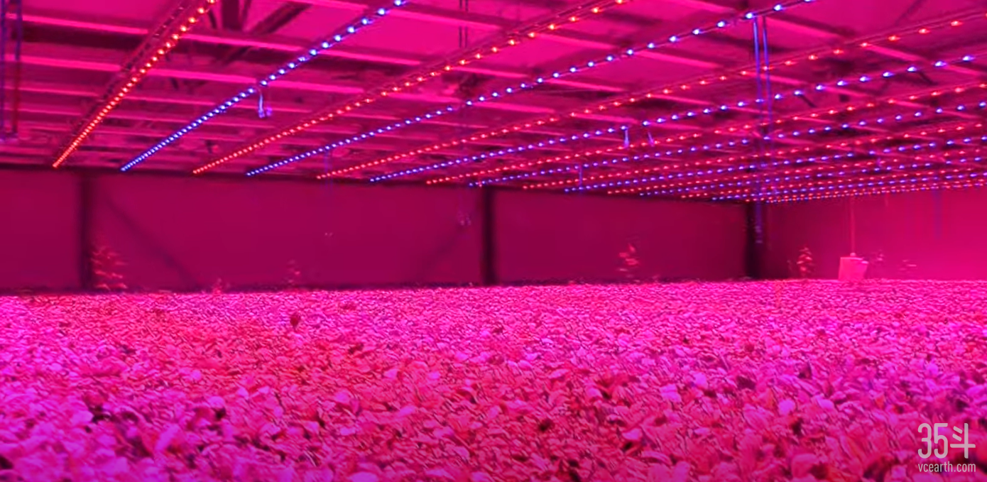 PlantLab获2000万欧元A轮融资，开启新一代种植系统__凤凰网