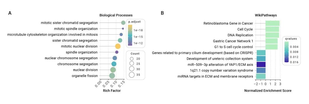 The Innovation|clusterProfiler：聚焦海量组学数据核心生物学意义__凤凰网