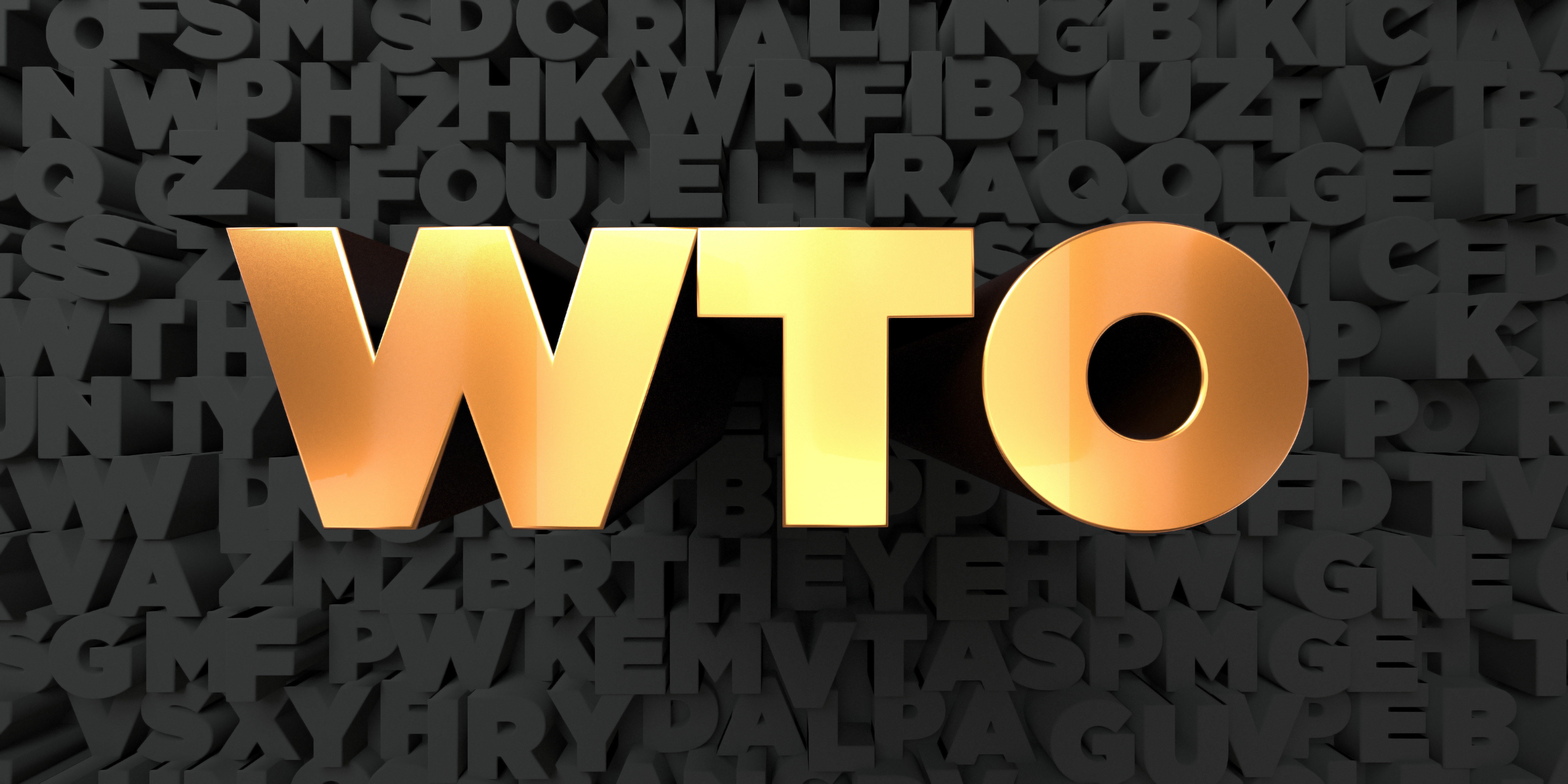 新任总干事能开启WTO的新时代吗_凤凰网