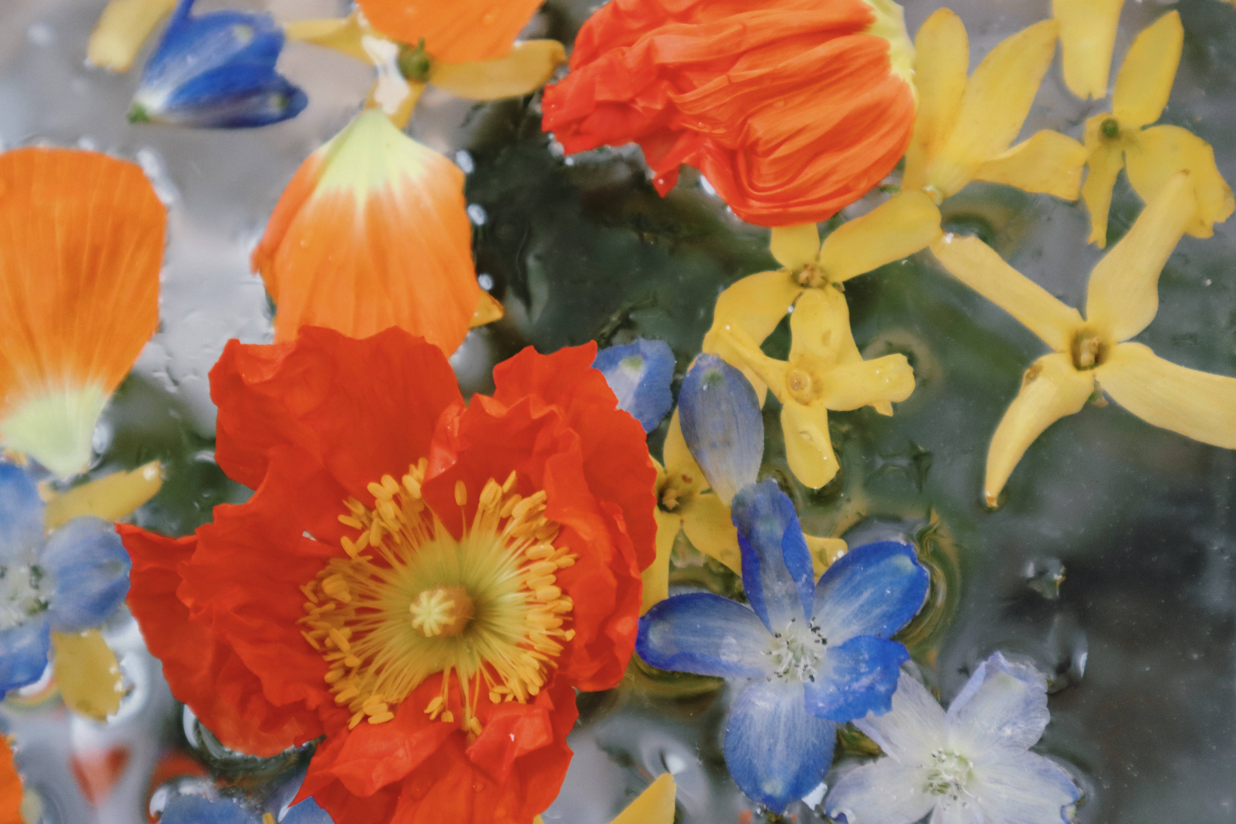 国内帽饰设计师品牌SHINE LI推出2021周年限定系列_凤凰网