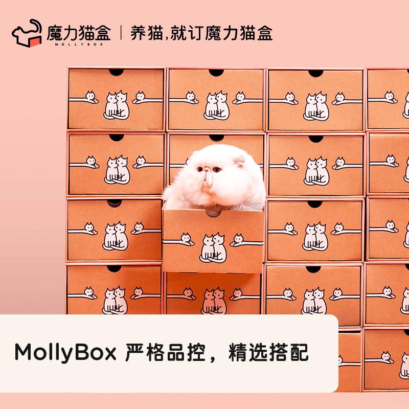 新锐品牌「MollyBox魔力猫盒」选择班牛，开启宠物产品零售新模式！_凤凰网科技_凤凰网