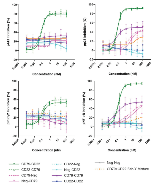 ACROBiosystems百普赛斯解读CD79B，助力满足临床待满足需求_凤凰网