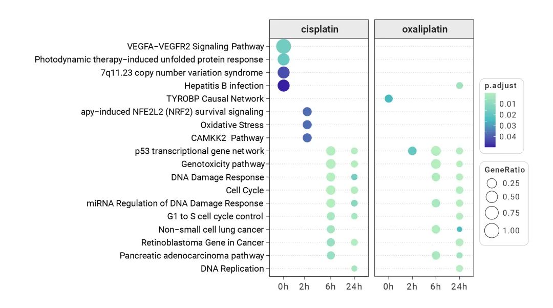The Innovation|clusterProfiler：聚焦海量组学数据核心生物学意义__凤凰网