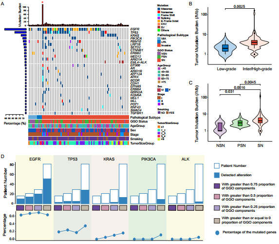 学术成果|多组学研究揭示磨玻璃肺结节惰性生长的分子特点__凤凰网