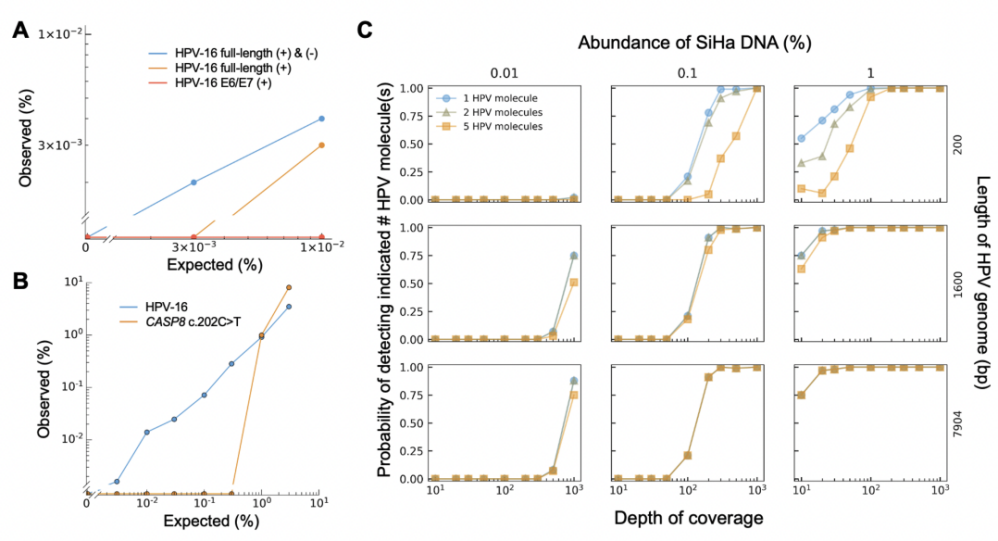 Clinical Cancer Research|杂交捕获测序新方法HPV-seq，可实现ctDNA灵敏检测和定性分析__凤凰网