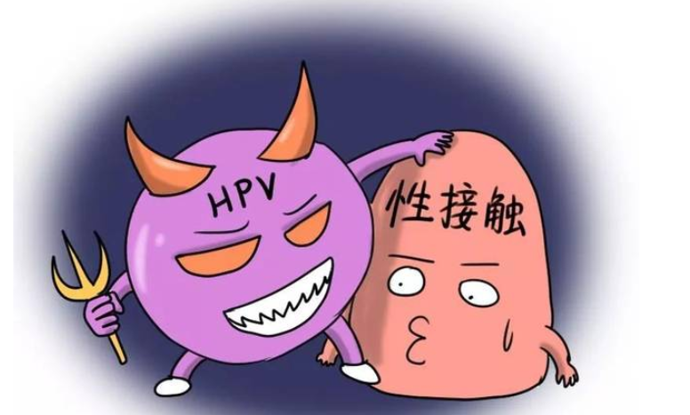 感染了hpv都会得宫颈癌?看完这些分析,发现预防hpv并不难凤凰网