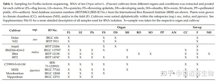 Pacbio Iso-Seq测序技术发现水稻非生物胁迫下的新转录本和新基因__凤凰网