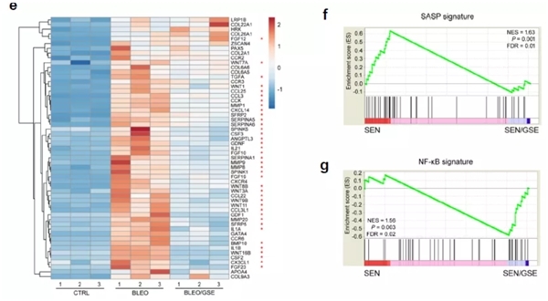 PCC1是什么？带你了解其对于抗衰老的帮助_凤凰网