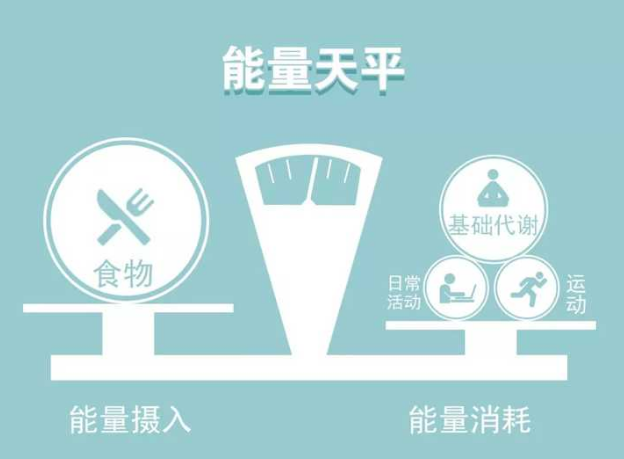 营养师公认3大 懒人减肥法”,不用挨饿、运动也能瘦到90斤!凤凰网
