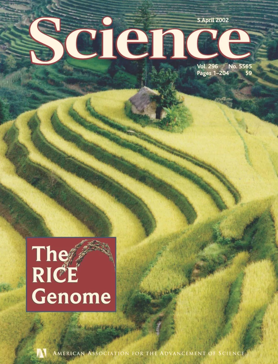 人类基因组计划草图发布二十年，我们一直在进步__凤凰网