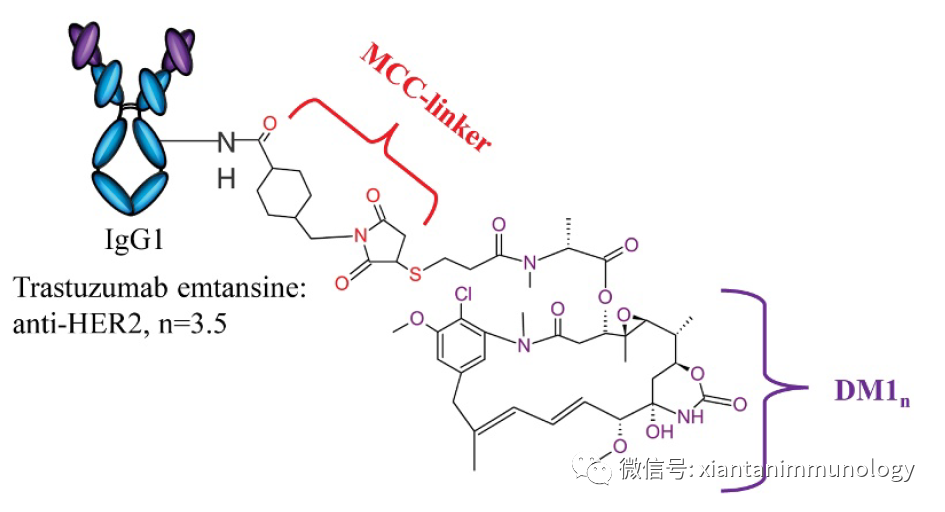 25个乳腺癌抗体药物偶联物__凤凰网