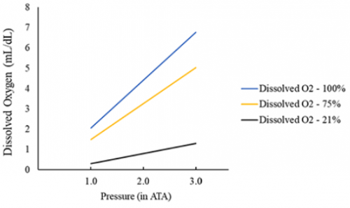 高压氧舱的运作原理是什么？O2 ARK高压氧舱怎么样？_凤凰网