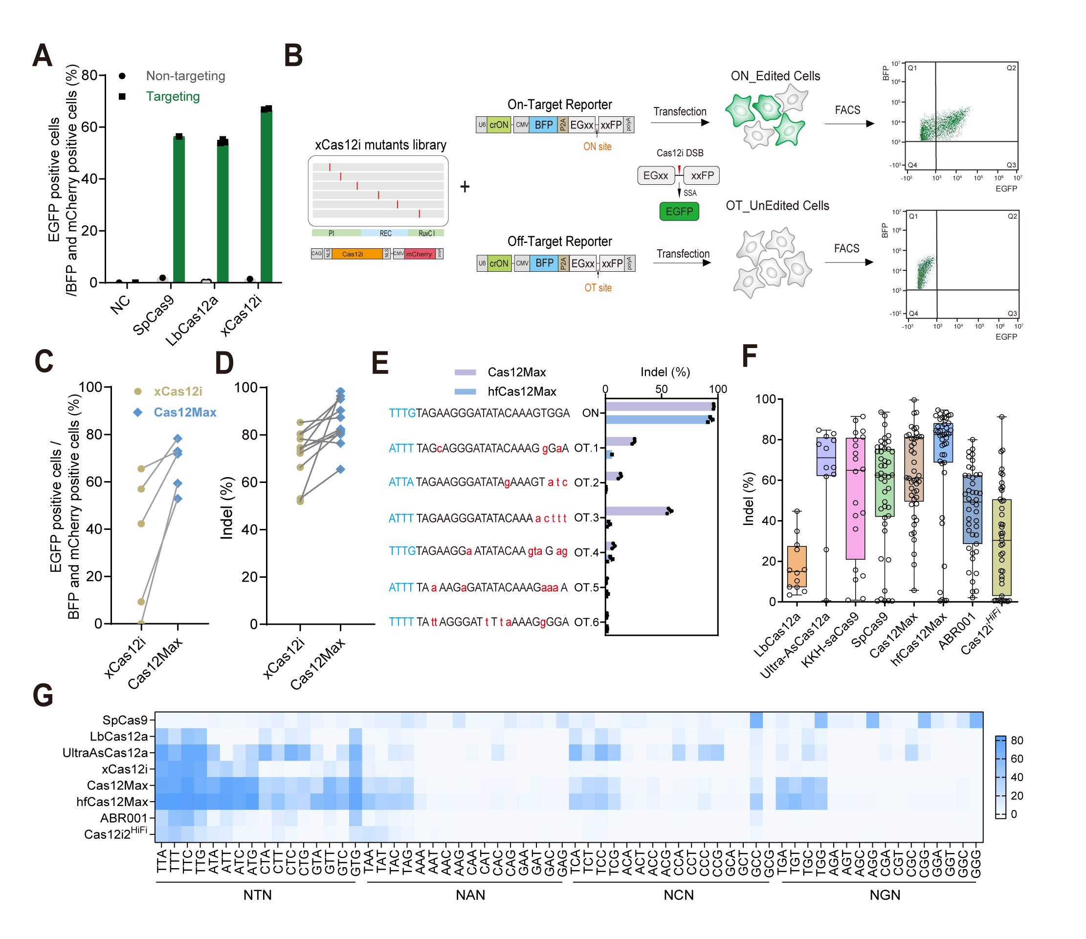 创新突破！辉大基因推出活性高、特异性更好的高保真版Cas12系统_凤凰网