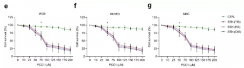 PCC1是否已经有“药”了？现在有卖吗？_凤凰网