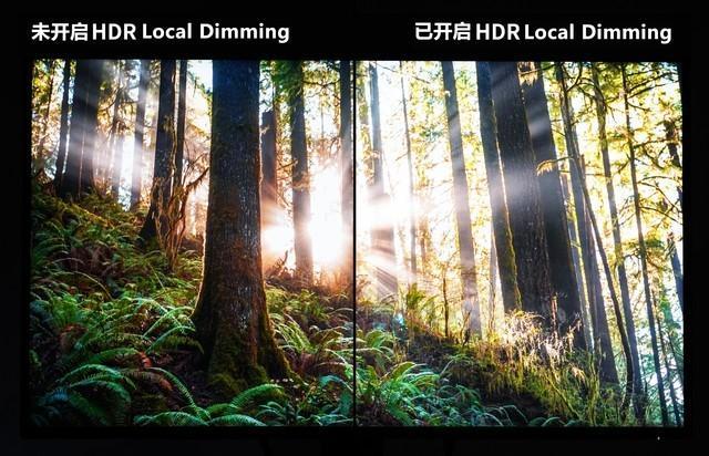 LED还是小的好！MiniLED背光与LCD屏幕显示效果实拍对比_凤凰网