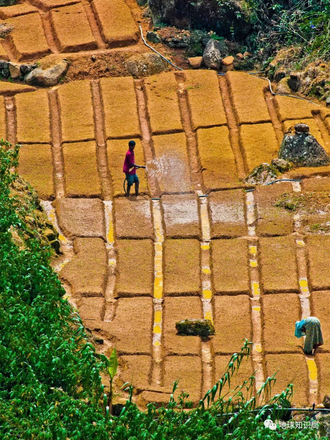 一场难以置信的经济自杀_凤凰网资讯_凤凰网