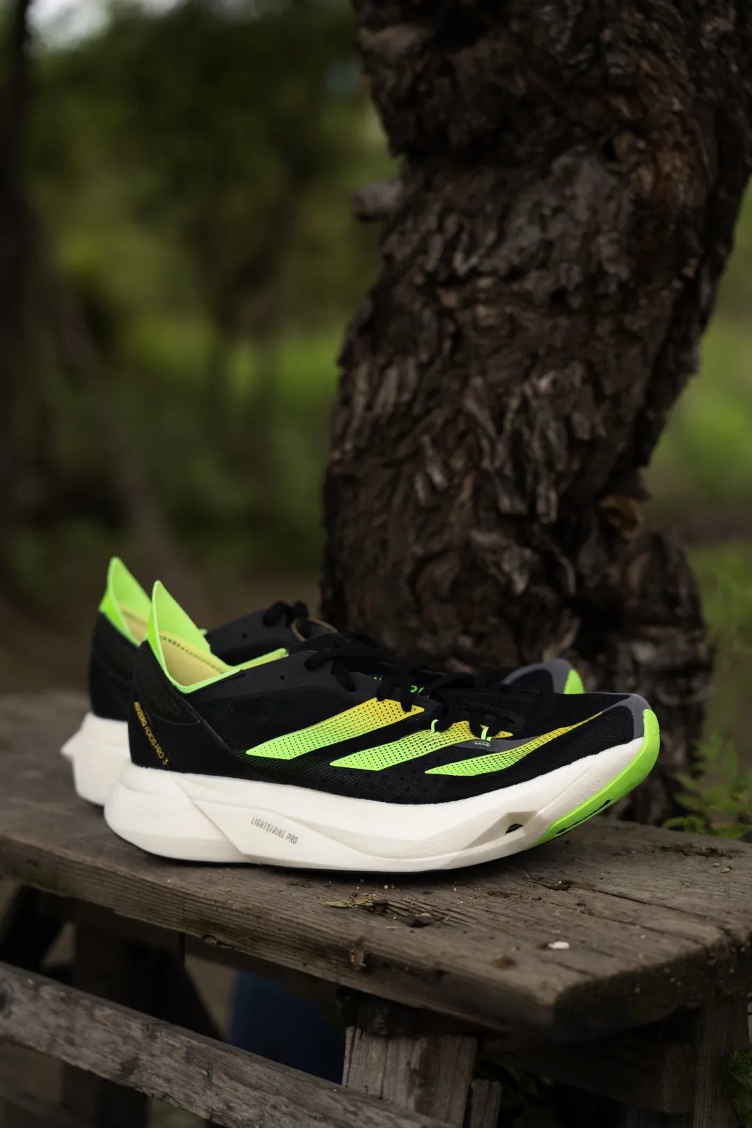adidas ADIZERO ADIOS PRO 3我们先练为敬_凤凰网体育_凤凰网