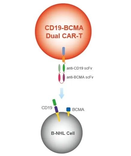 3项临床数据亮相国际学术舞台，亘喜生物如何“妙手”频出？_凤凰网