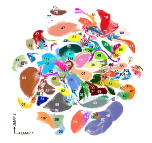 华大智造单细胞利器DNBelab C4助力全球首个非人灵长类动物全身器官细胞图谱发布_凤凰网商业_凤凰网
