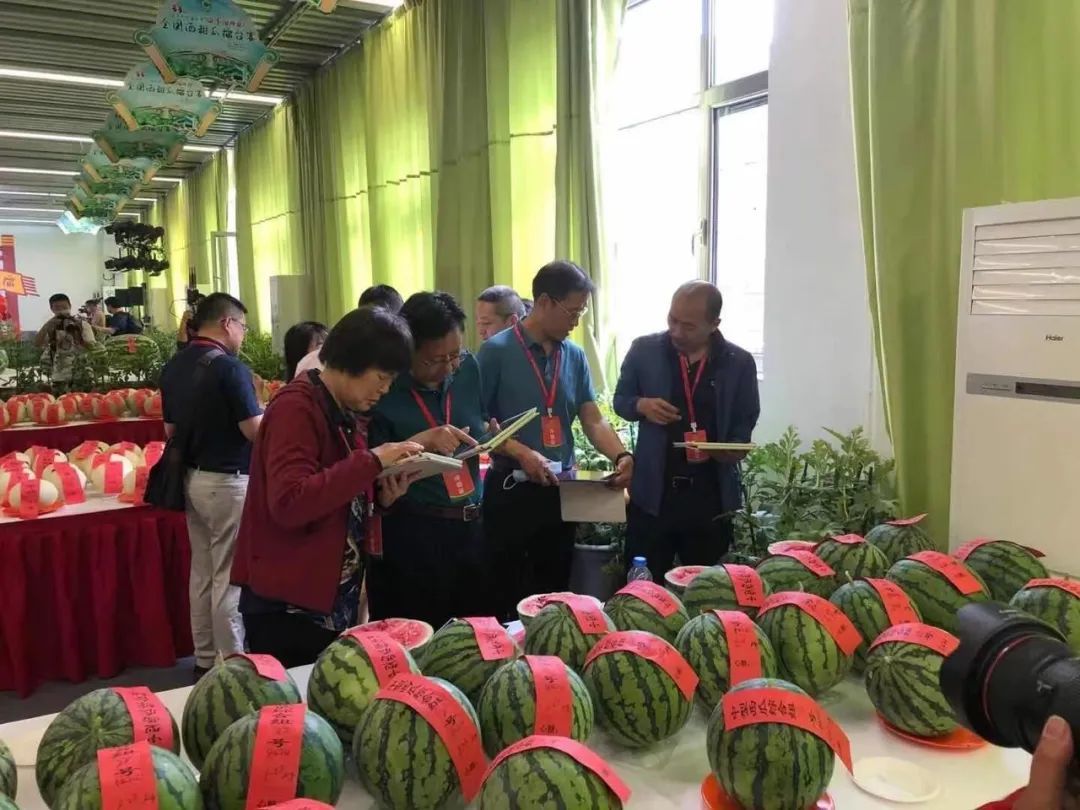 中国人吃掉全球70%西瓜！他继承千亩瓜田，日销千箱西瓜__凤凰网