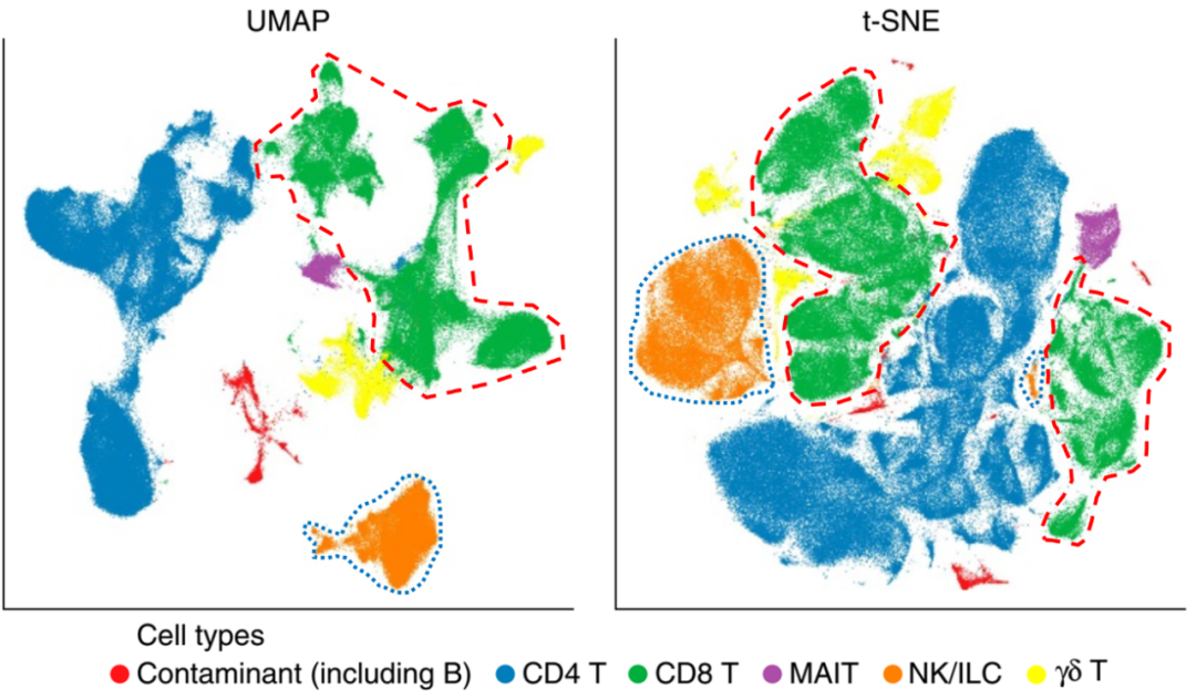 在高分文章中单细胞测序聚类算法究竟用tSNE还是UMAP？__凤凰网