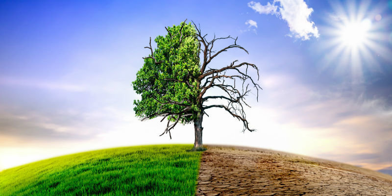 世界气象组织：空气污染和气候变化带来“气候惩罚”的风险日益加剧_凤凰网