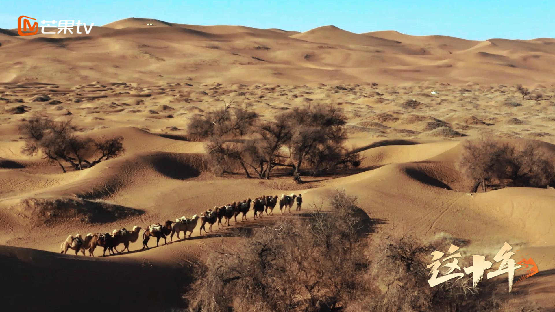 奏响戈壁滩上光热“交响曲”，芒果TV《这十年》走近能源人黄文博__凤凰网